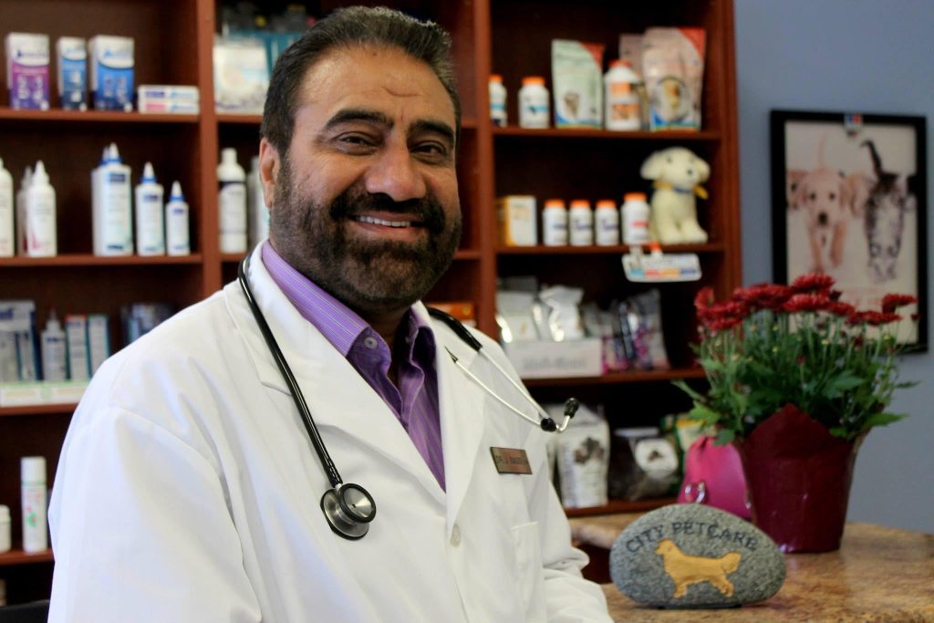 Our Team | City Petcare Hospital